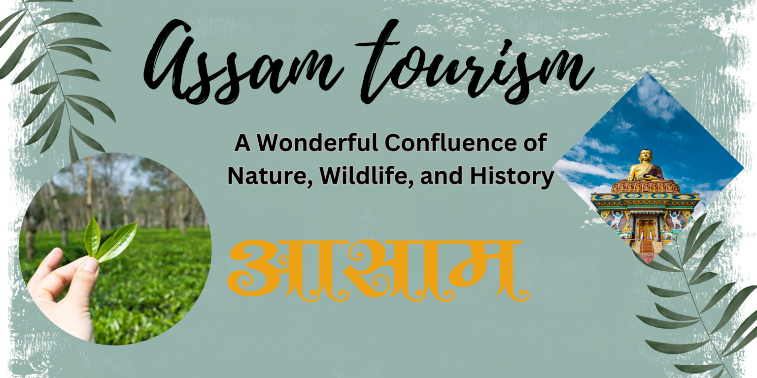 Assam Tourism 2024 : A Wonderful Confluence Of Nature, Wildlife, And ...